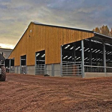 Prefabricated Cow Shed for Livestock | Livestock Farming Cow House