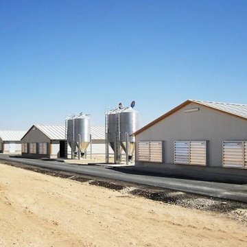 Poultry Chicken House Design Solution | Tailored Chicken Farm Structure