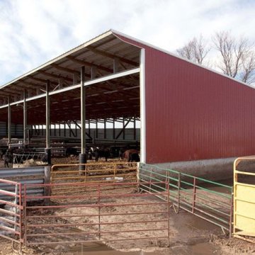 Prefabricated Cow Farm Shed | Export-Ready Cattle House