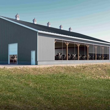 Prefabricated Cow Farm Shed Steel Structure | Steel Frame Cow Shed Design