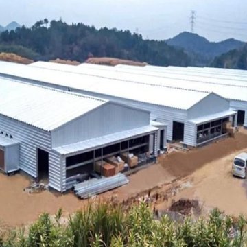 Modern Broiler Shed Design in China | Steel Chicken Farm Equipment Build