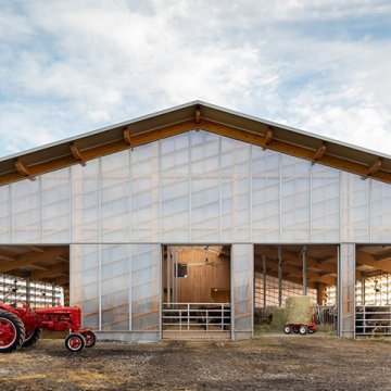 Steel Frame Cow Shed | Prefab Cattle House | Fast Assembly Farm Barn